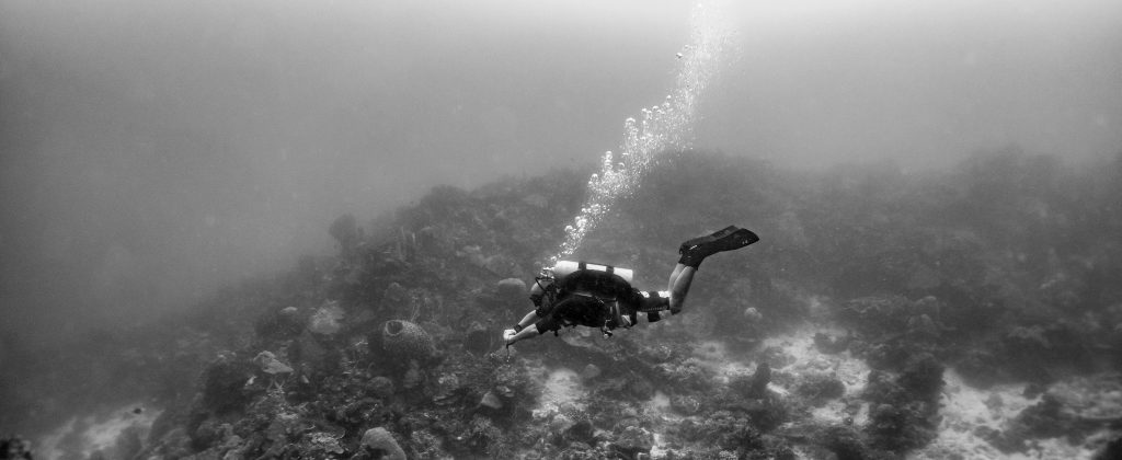 8 Tips for relaxed diving | Scubablog